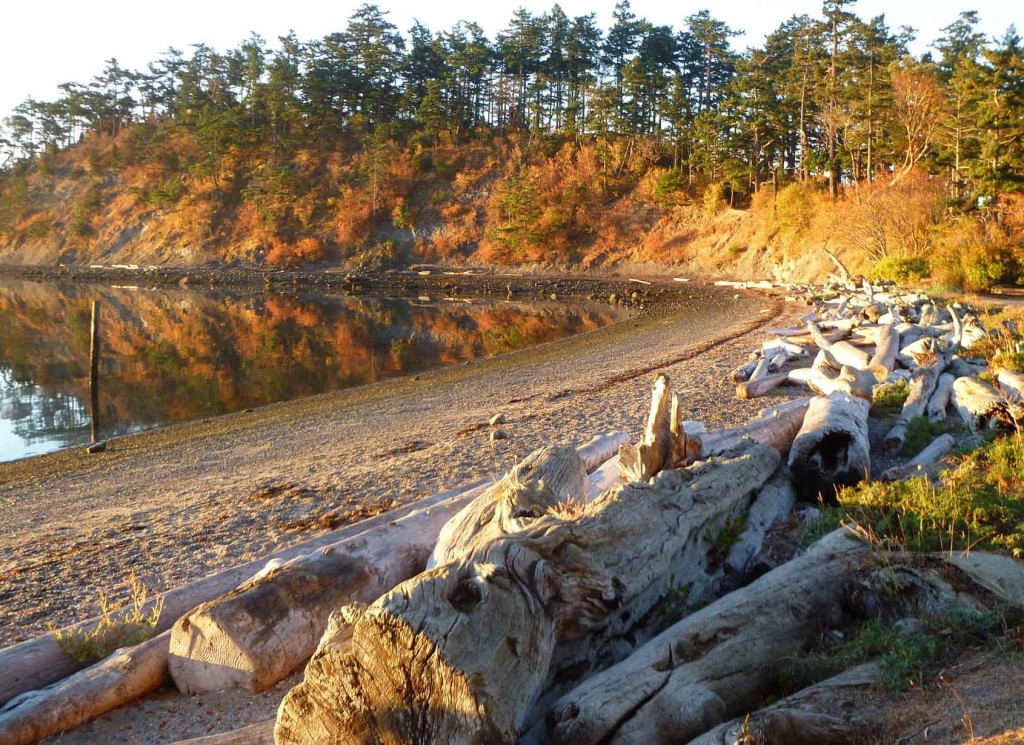 Give to the San Juans and orcas today. All gifts made by Dec. 31 will ...