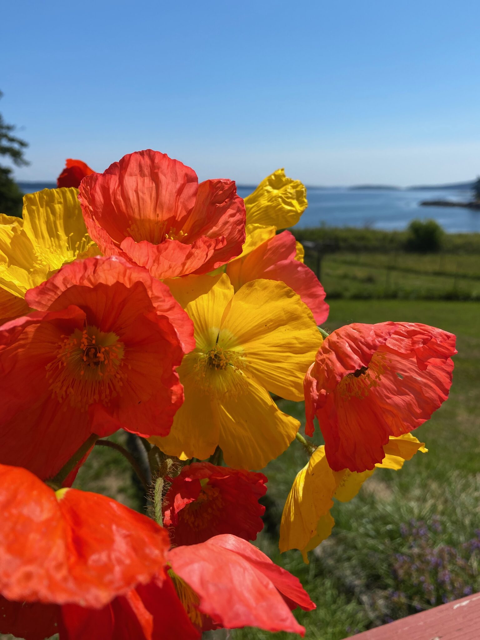 Meet + Mingle this Summer! - Friends of the San Juans