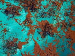 Surging Canadian Crude Oil Exports Put the Salish Sea at Risk - Friends ...